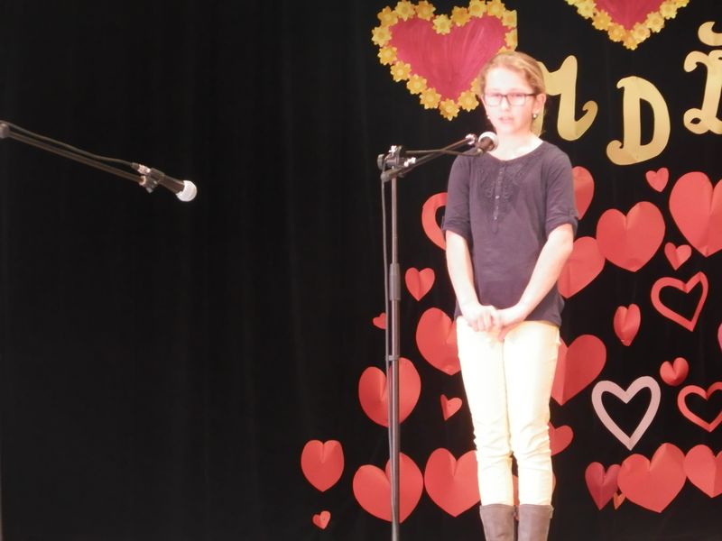 Obec Poniky - mdz_2015